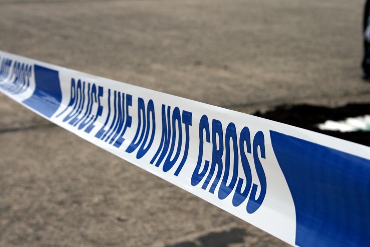 The Disintegrating Blue Line - Chronicles